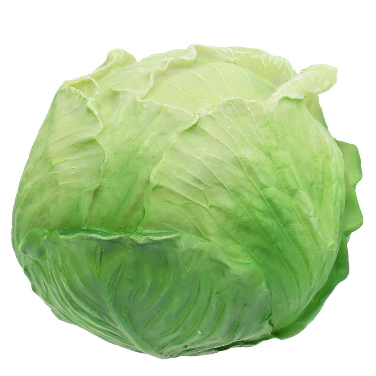 Floristik24.ch Weißkohl Ø16cm-828395