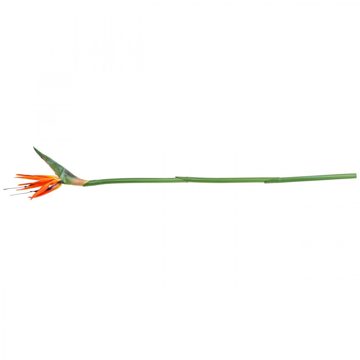 Floristik24.ch Strelizie reginae Kunstblume Orange Paradiesvogelblume ...